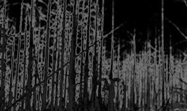 Necrophiliac: The Lustful Dead (2015) - Found Footage Movie Trailer ...